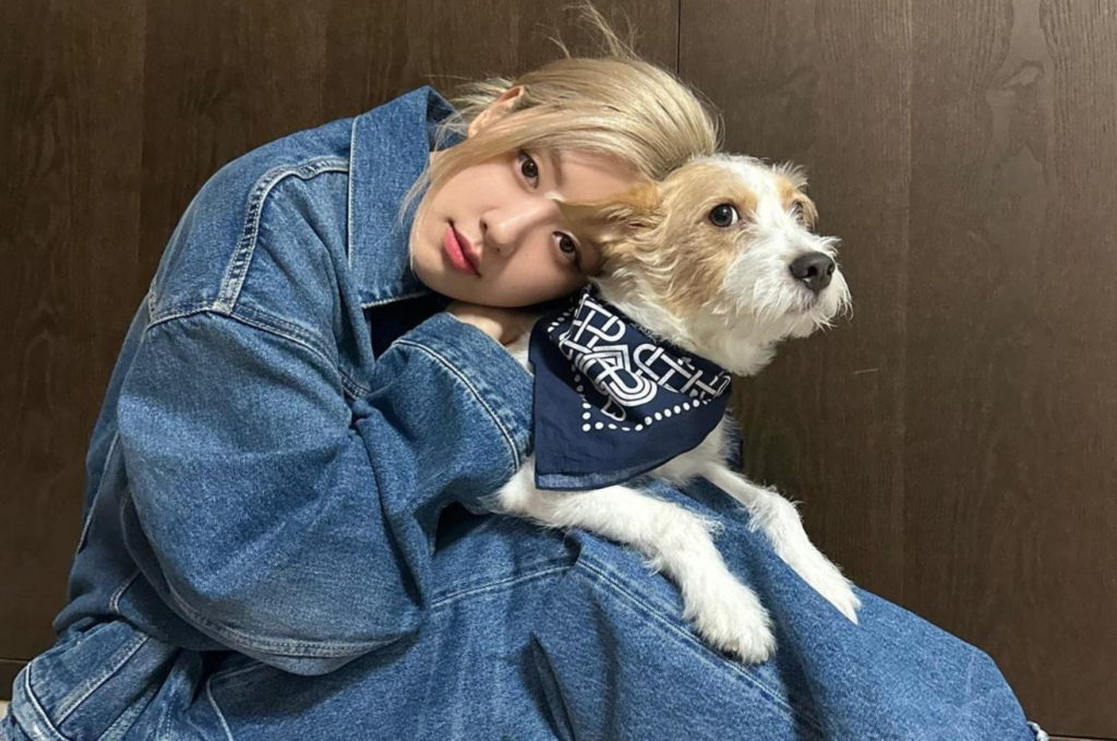 O que é APT, jogo que inspirou música de Rosé e Bruno Mars?